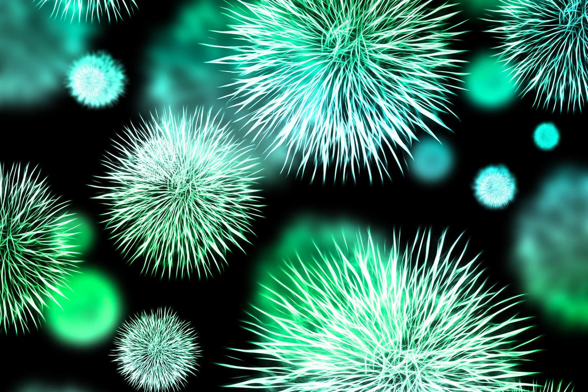 What Are Germs, The Types of Germs, & How to Prevent Them